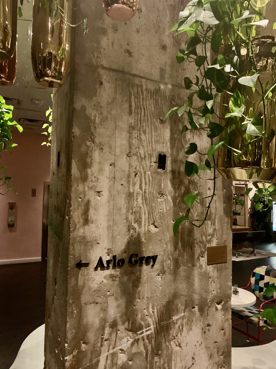 arlo grey – austin wanderlist