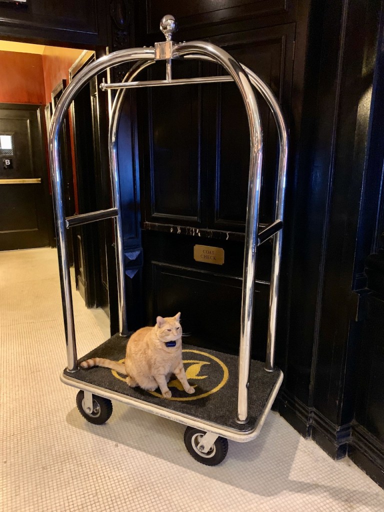 the round table restaurant at the algonquin hotel (ny ny) – austin ...